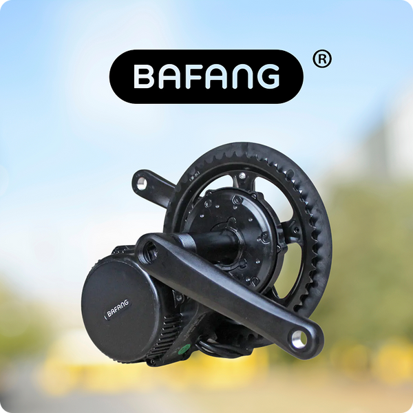 Bafang Kit — Cap Rouge Wholesale